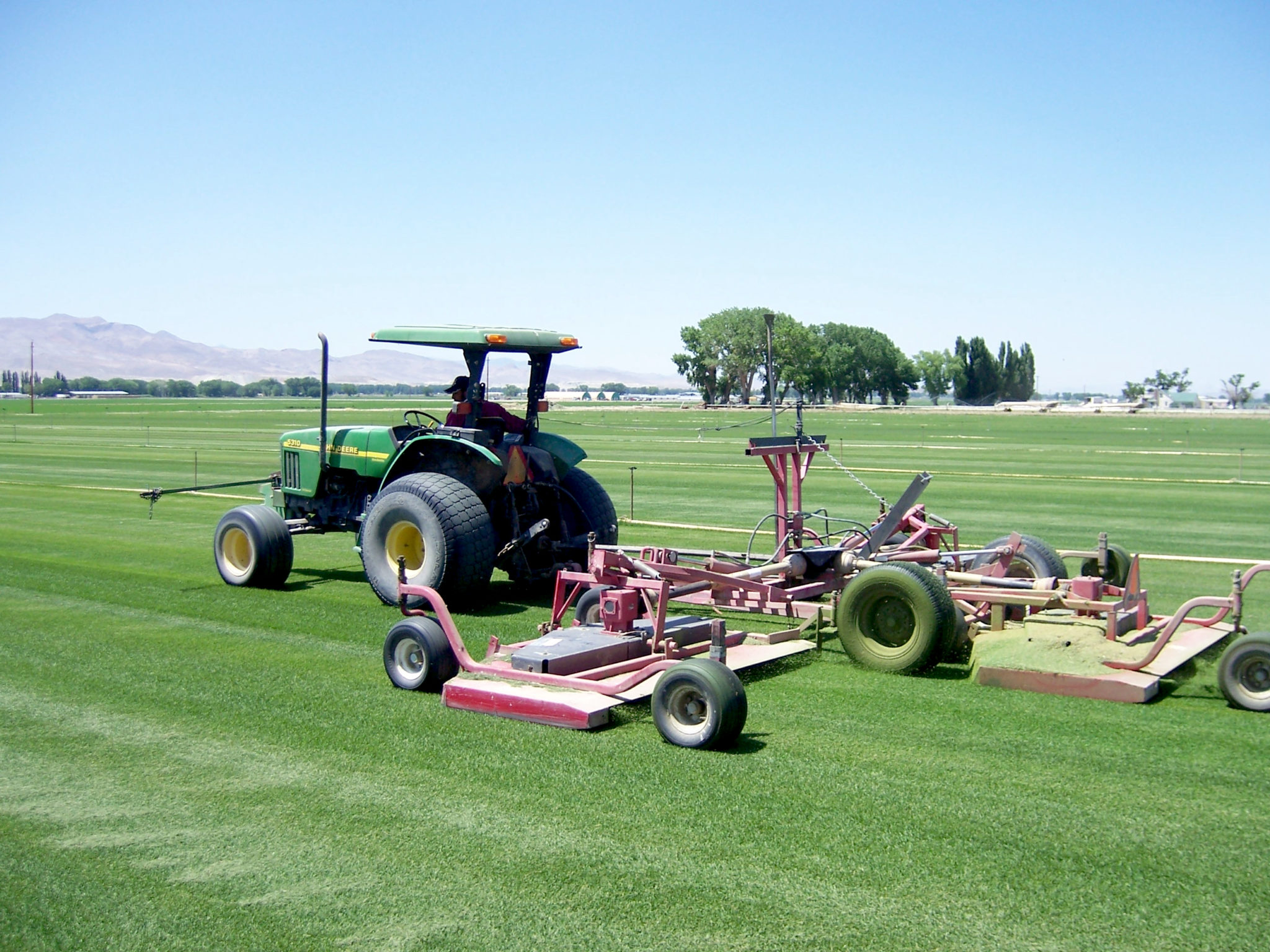 CONTACT US - High Desert Turf - Reno, Nevada Sod Grass